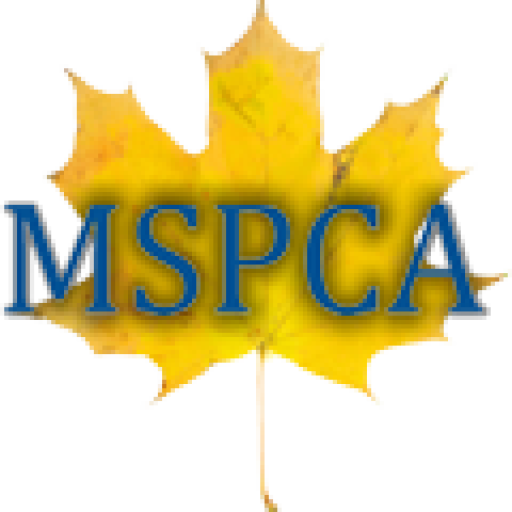 Maple Shade Police Chaplain Association – Bringing Comfort, Guidance ...